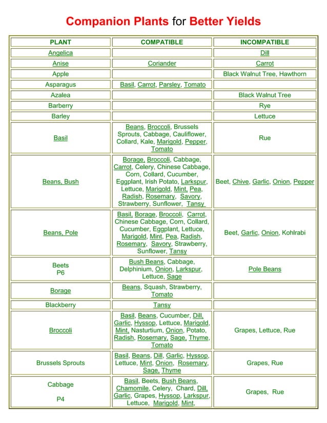 Companion Plants for Better Yields | PDF