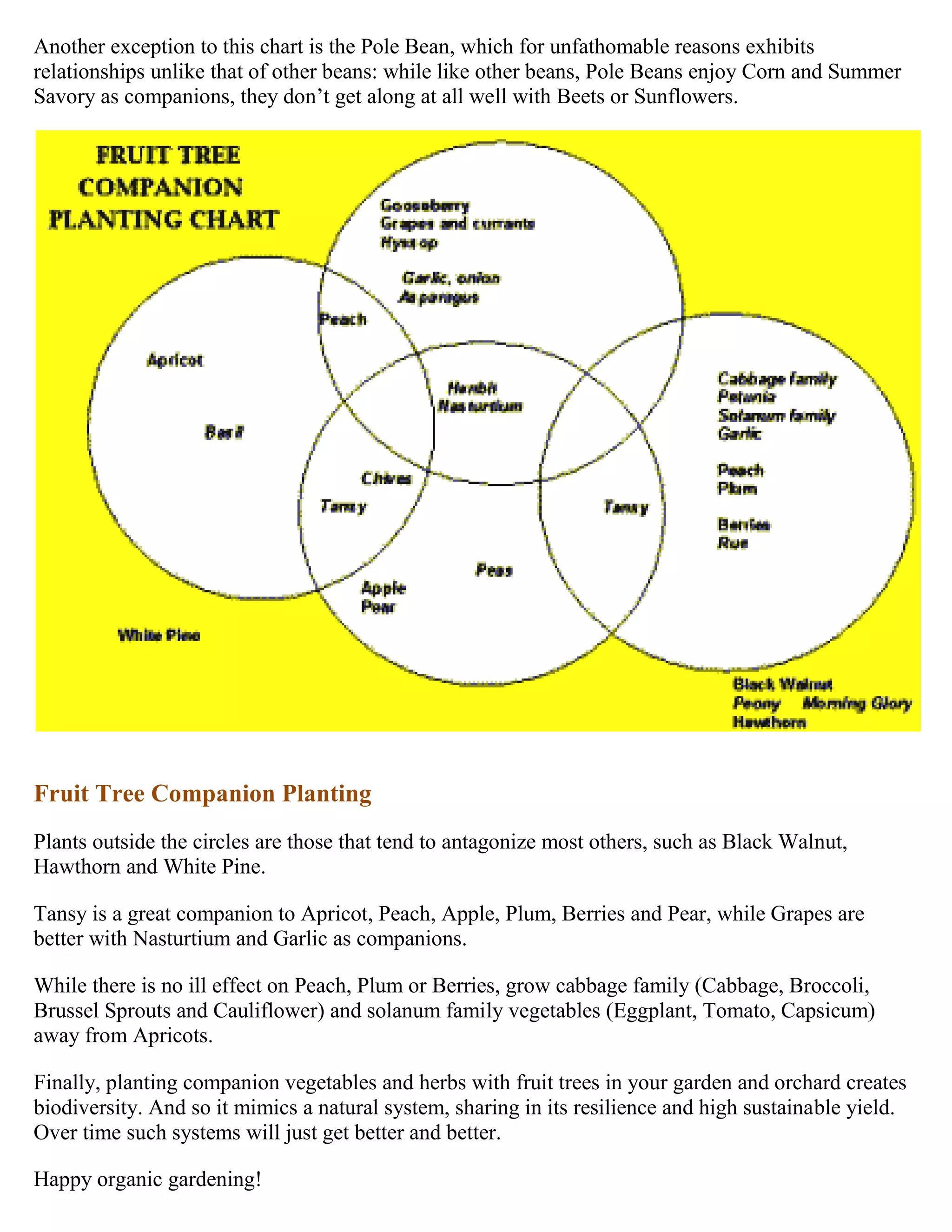 Guide and Charts On Planting Companion Vegetables and Herbs, and Fruit ...
