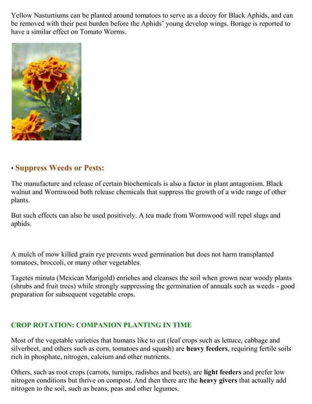 Guide and Charts On Planting Companion Vegetables and Herbs, and Fruit ...
