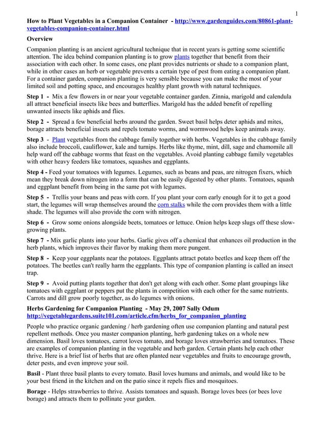 How to Plant Vegetables in a Companion Container - Herb Companion ...