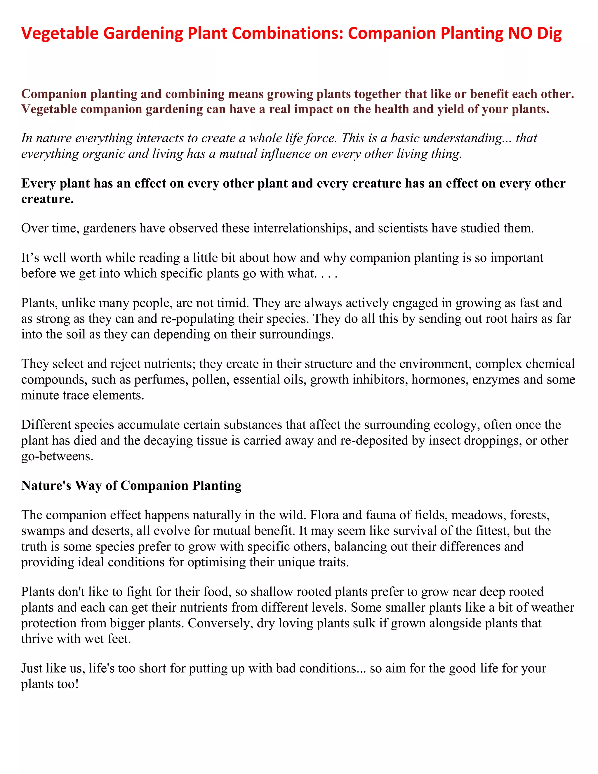 Vegetable Gardening Plant Combinations: Companion Planting No Dig ...