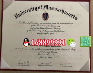 University of Massachusetts Amherst degree offer diploma Transcript | PPT