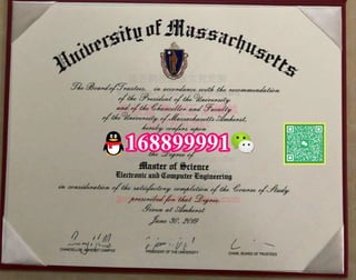University of Massachusetts Amherst degree offer diploma Transcript | PDF
