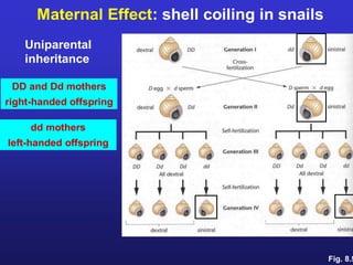 non mendelian inheritance.ppt