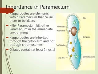 non mendelian inheritance.ppt