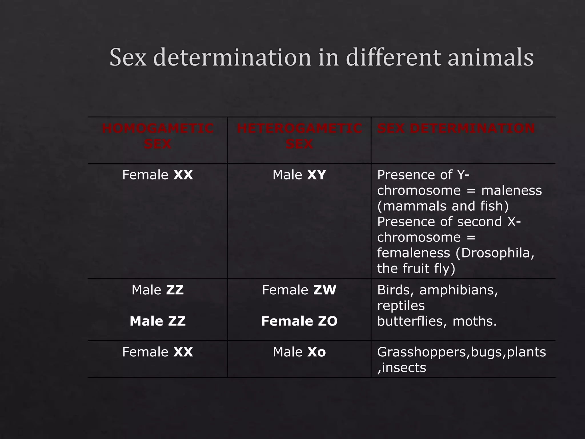 sex determination.ppt