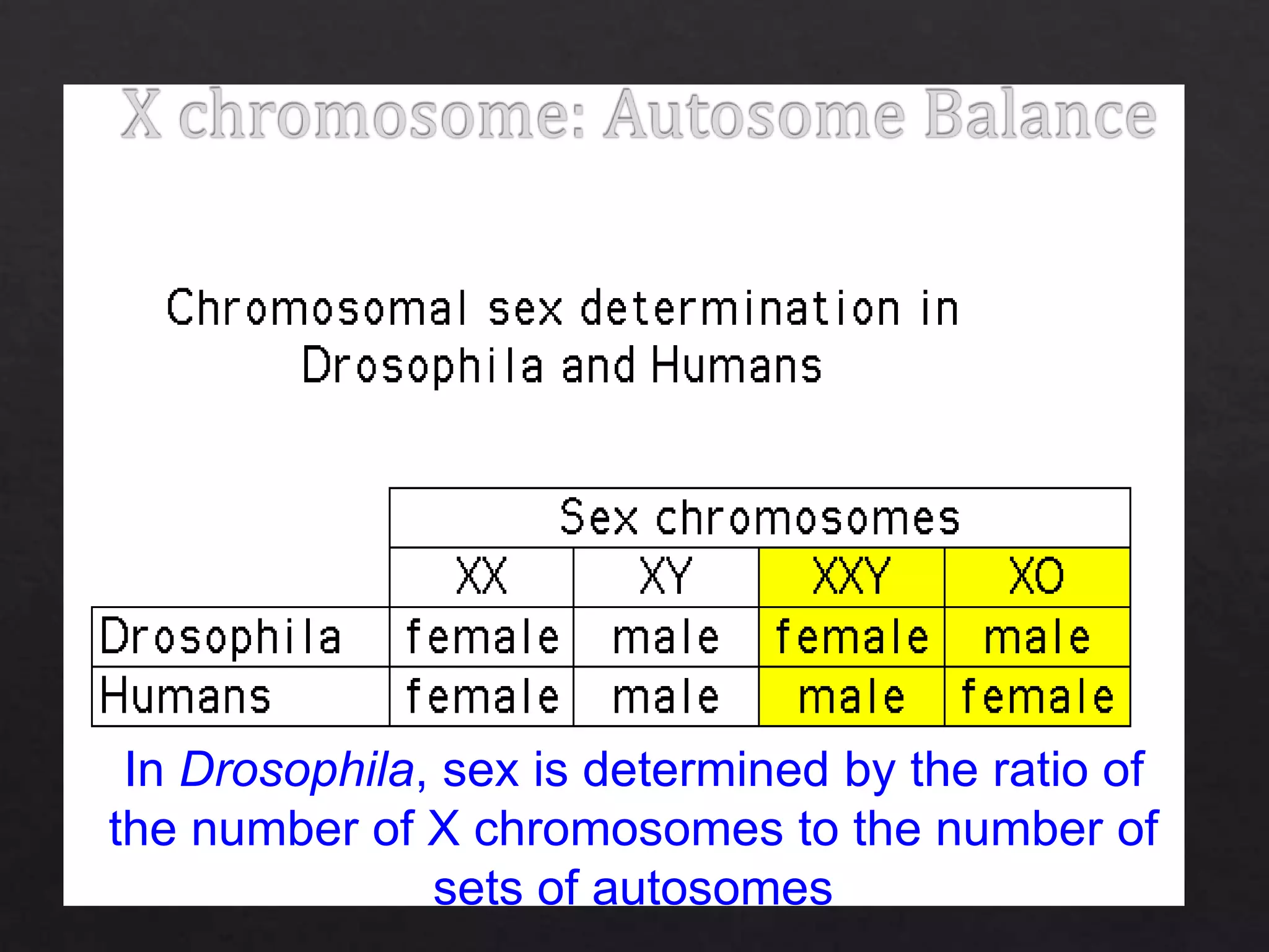 sex determination.ppt