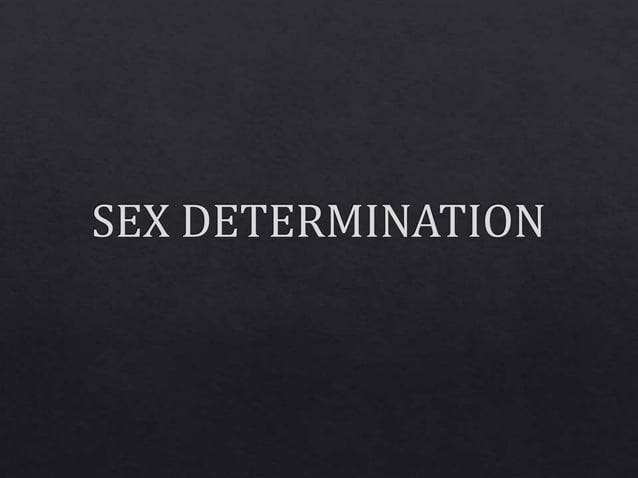 Sex Determination Ppt