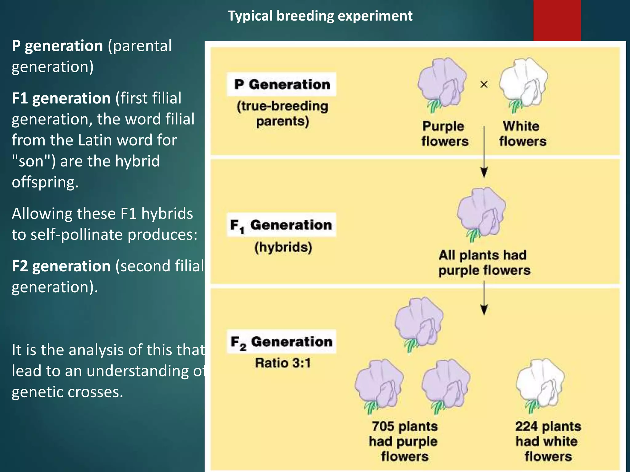 Introduction to Genetics.ppt