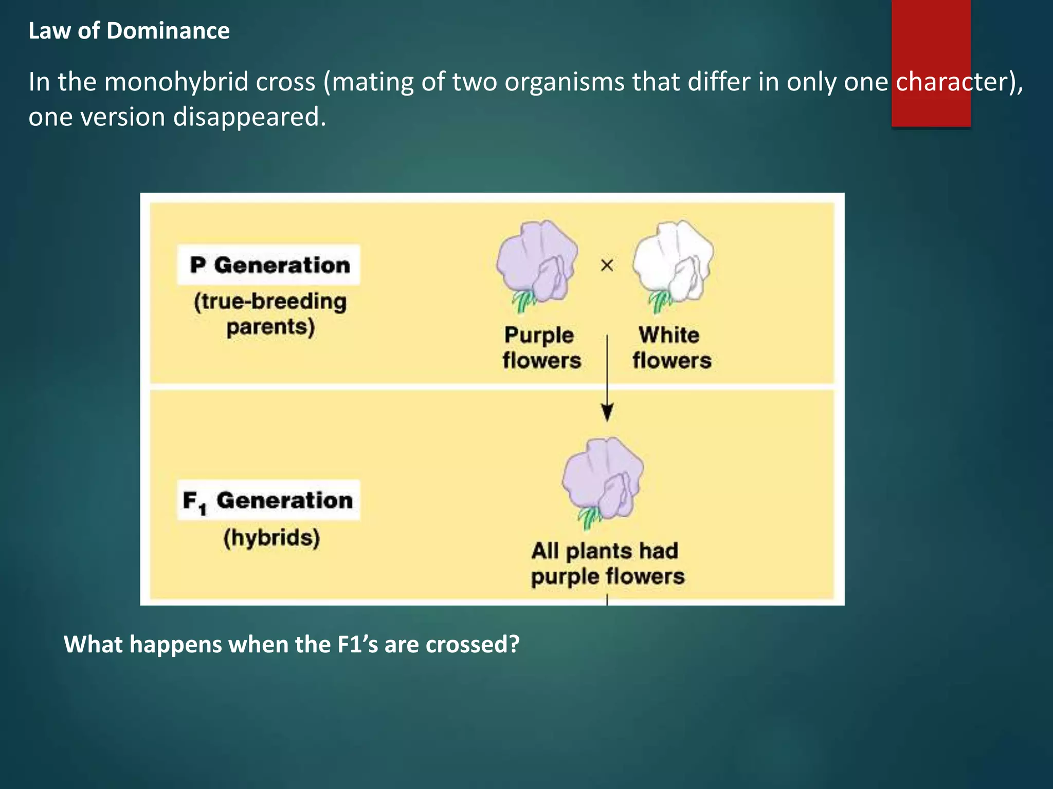 Introduction to Genetics.ppt