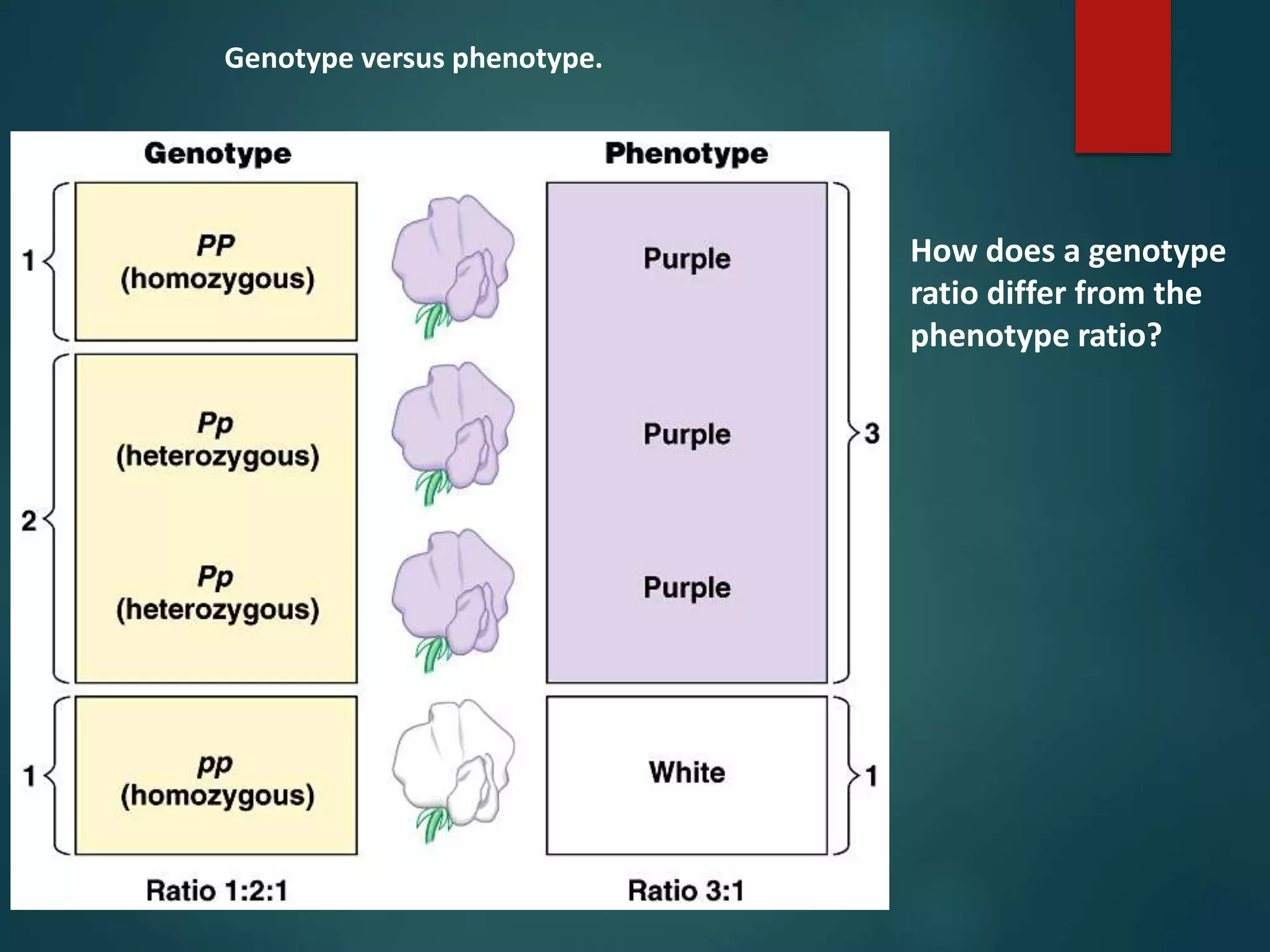Introduction to Genetics.ppt