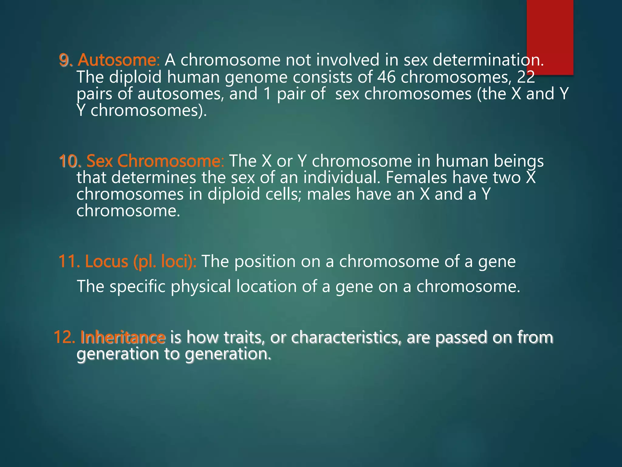 Introduction to Genetics.ppt