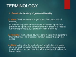 Introduction to Genetics.ppt