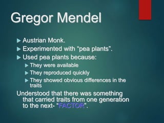 Introduction to Genetics.ppt