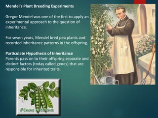 Introduction to Genetics.ppt