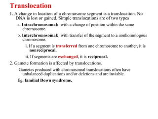11533 structural changes | PPT