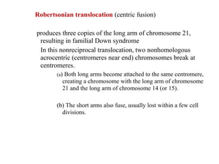 11533 structural changes | PPT