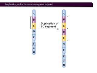 11533 structural changes | PPT