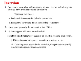 11533 structural changes | PPT