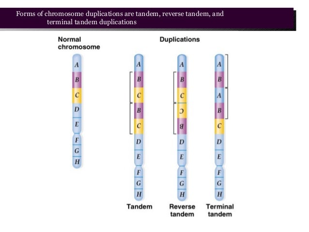 11533 structural changes