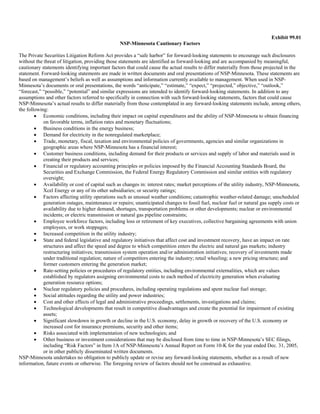 xcel energy NSP-MN_Q206_10Qb | PDF