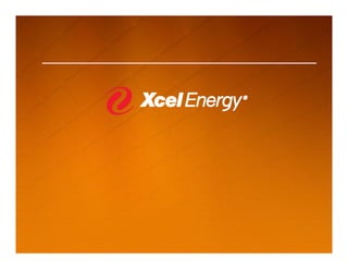 xcel energy November 2008 | PDF
