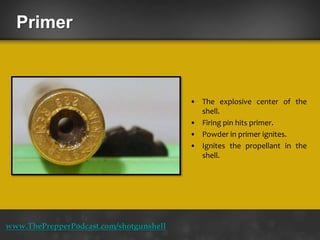 TPP 128: Shotgun Cartridges and Shells | PPTX