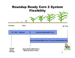 monsanto monmouth3 | PPT