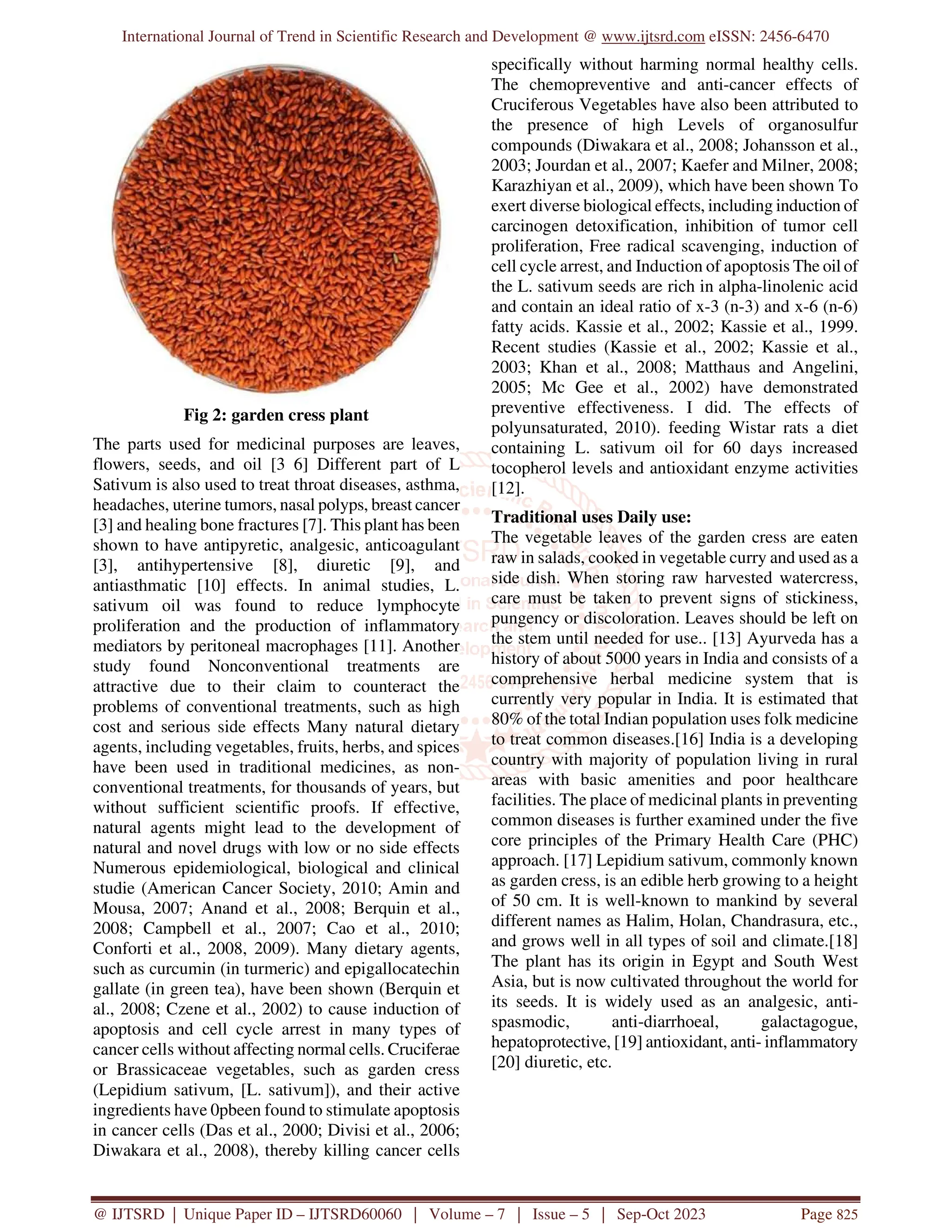 Garden Cress Seeds Tiny But Mighty Nutrition Bombs | PDF