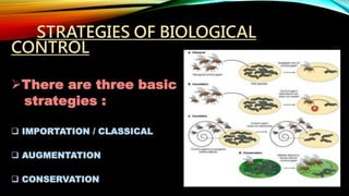 chemical and biological management strategies of insects . | PPTX ...