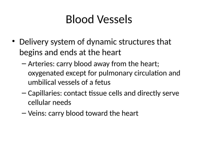 the cardiovascular system blood and vessels | PPT