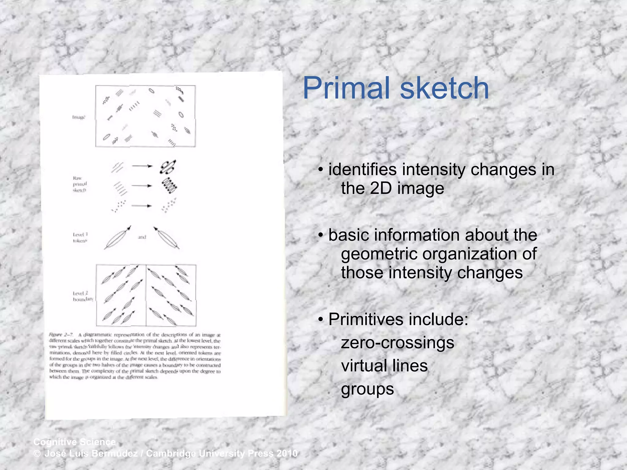 Marr's Theory of Vision | PPT
