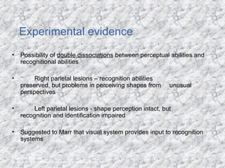 Marr's Theory of Vision | PPT