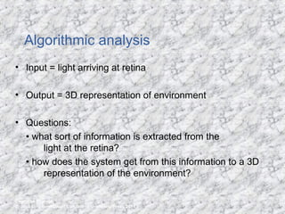 Marr's Theory of Vision | PPT