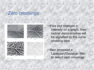 Marr's Theory of Vision | PPT