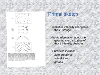 Marr's Theory of Vision | PPT