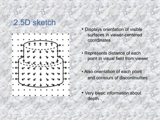 Marr's Theory of Vision | PPT