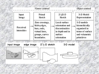 Marr's Theory of Vision | PPT
