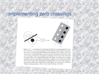 Marr's Theory of Vision | PPT