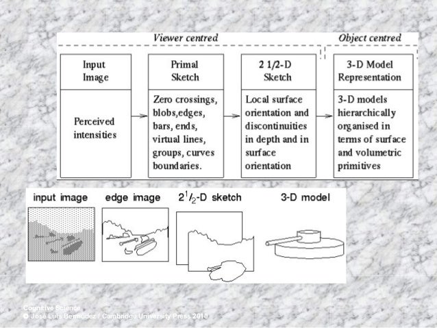 Marr's Theory of Vision