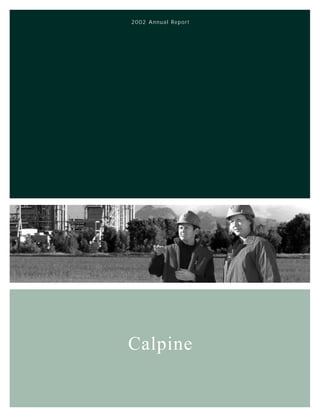 calpine _AR02_v_050503_02 | PDF