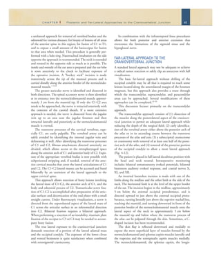 Surgical Anatomy And Techniques To The Spine Daniel H Kim Jeffrey Henn ...