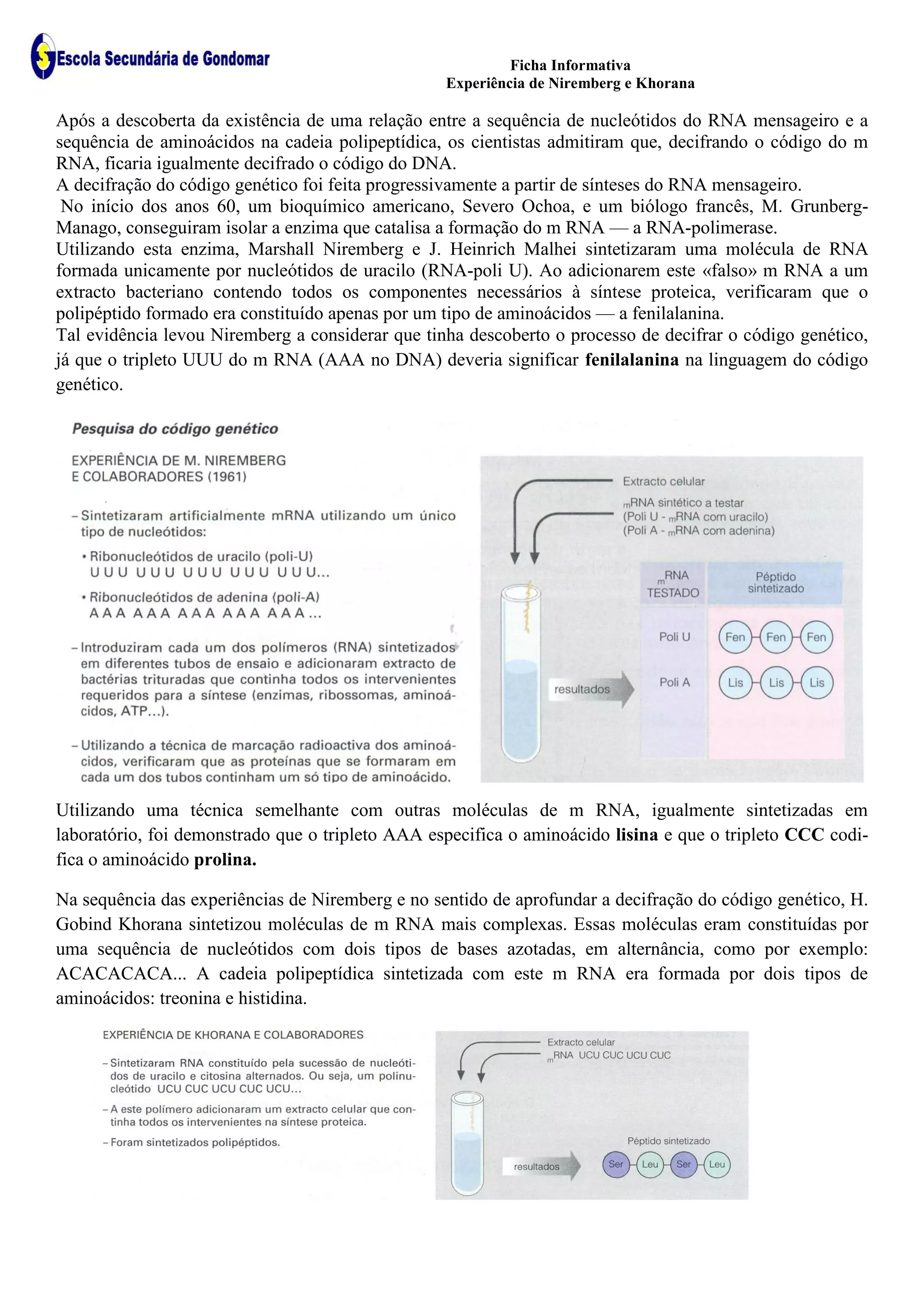 Ficha Informativa - Experiência de Niremberg e Khorana | PDF