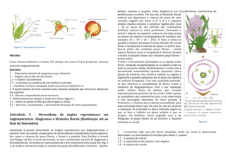 Estudo da Flor e do Fruto | PDF