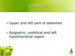 Stomach | PPT