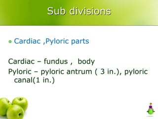 1166_stomach_Dr.-Ravi.ppt