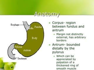 1166_stomach_Dr.-Ravi.ppt