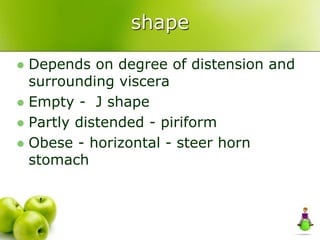 1166_stomach_Dr.-Ravi.ppt