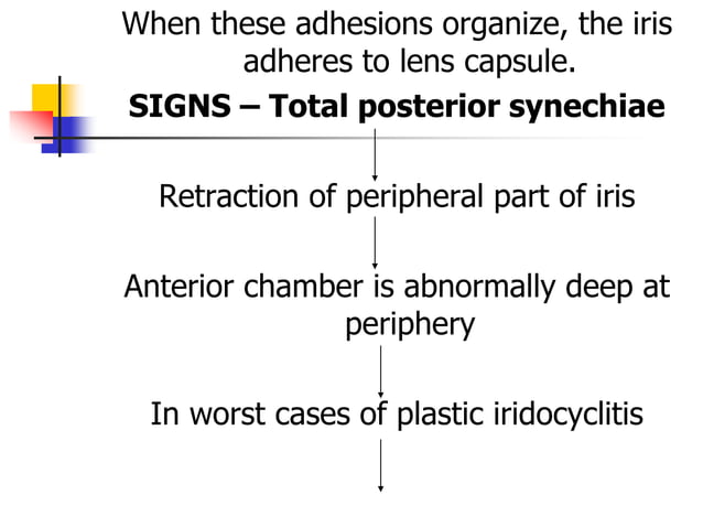1167_Anterior-Uveitis.ppt (inflammation of iris, cilliary body, choroid ...