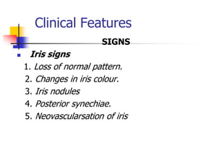 1167_Anterior-Uveitis.ppt (inflammation of iris, cilliary body, choroid ...